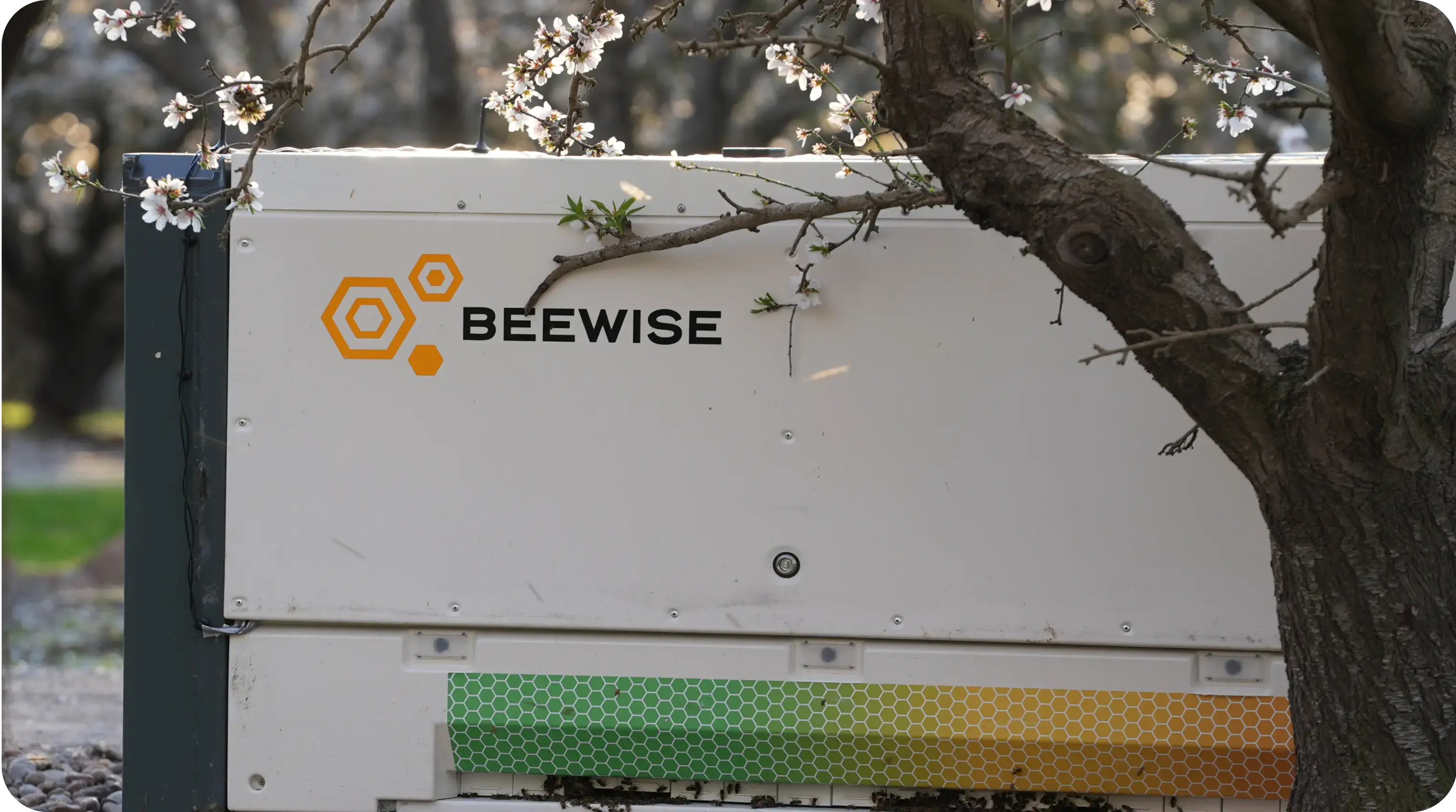 Superior pollination for growers with AI and Robotics | Beewise